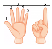 Jumlah jari pada gambar dibaca ....