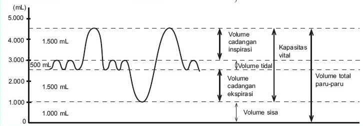 Perhatikan grafik dibawah ini Berdasarkan gr...