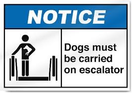 What is forbidden according to the notice?