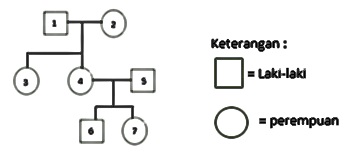 Perhatikan peta silsilah berikut! Jika anak ...