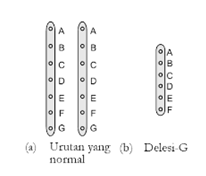 Mutasi kromosom dapat terjadi dikarenakan adanya p...